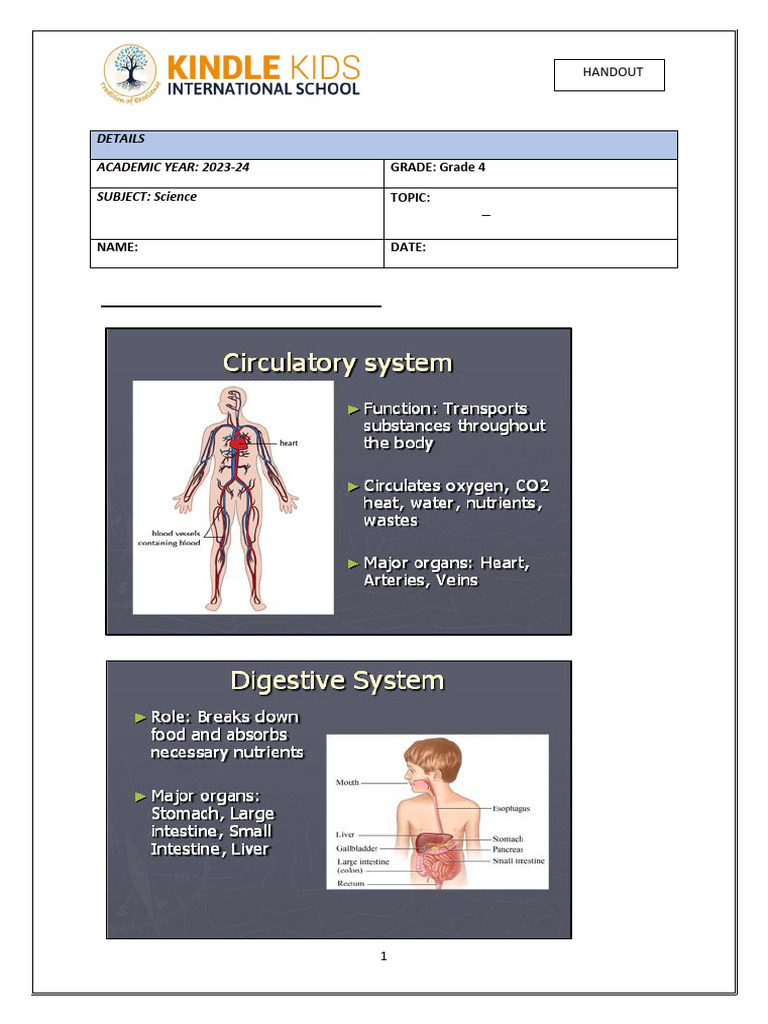 Handout 1-Skeletal System | PDF | Skeleton | Bone
