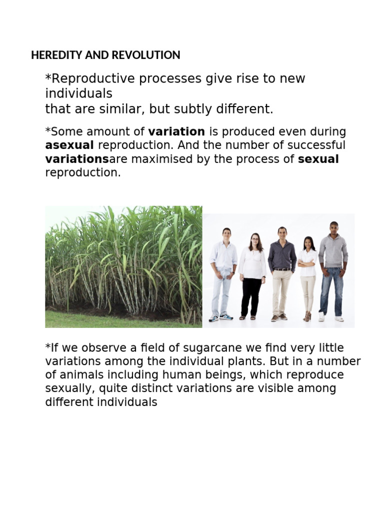 Heredity and Variation in Reproduction | PDF | Genotype | Heredity