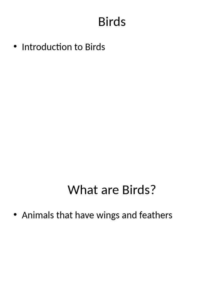 Birds Presentation | PDF