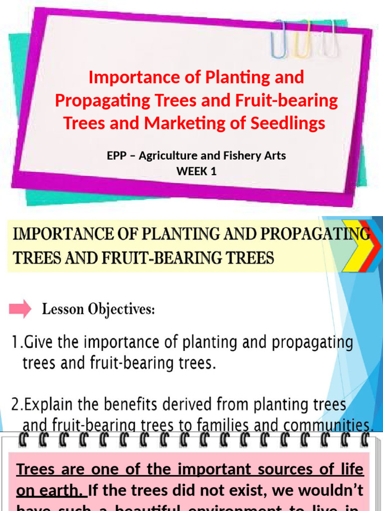 WEEK 1_EPP | PDF | Trees | Plants