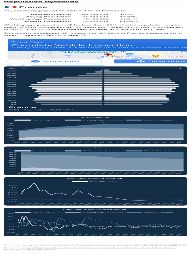 France Population Pyramid 2022 Data | PDF