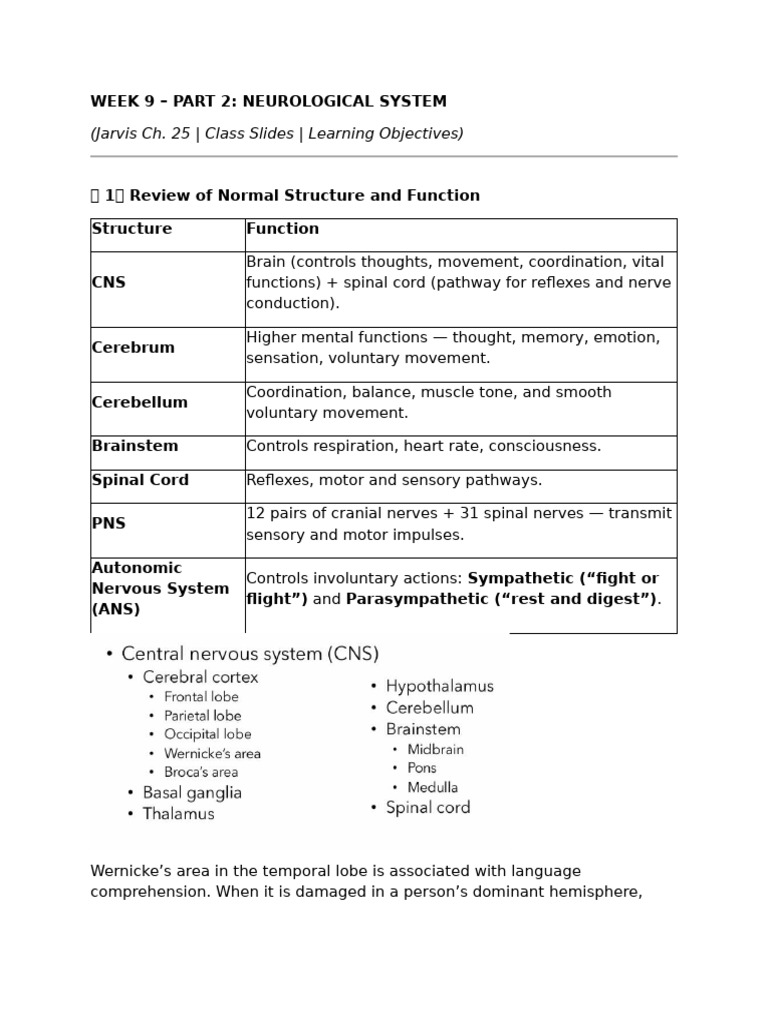 WEEK 9 PART 2 NEURO NOTES | PDF | Stroke | Central Nervous System