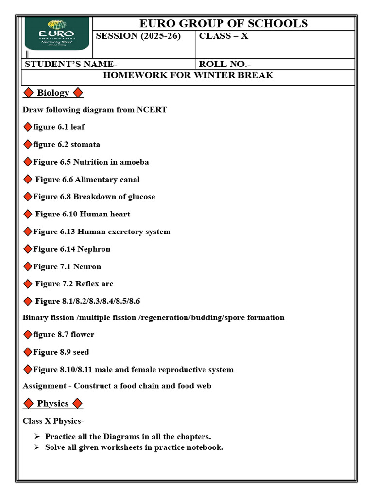 Class 10th Winter Vacations Holiday Homework | PDF