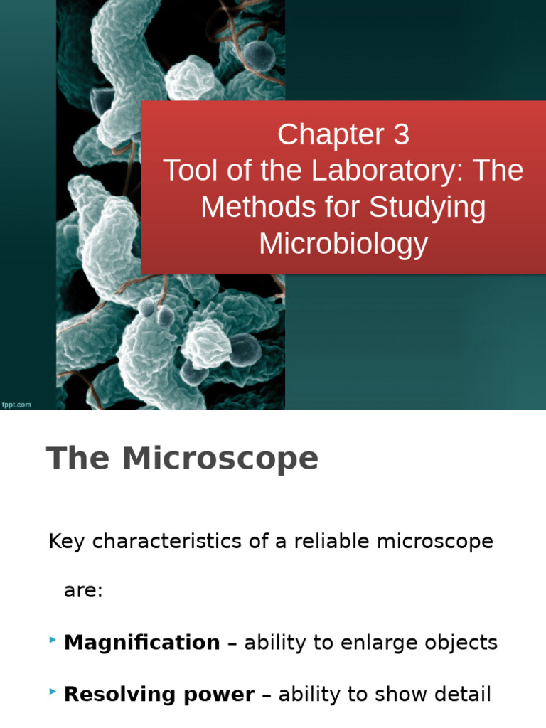 Chapter03_lecture | PDF | Staining | Angular Resolution