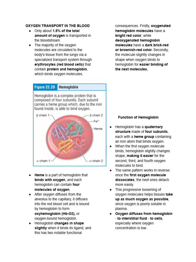GROUP 7 - 22.5A OXYGEN TRANSPORT IN THE BLOOD | PDF | Hemoglobin ...