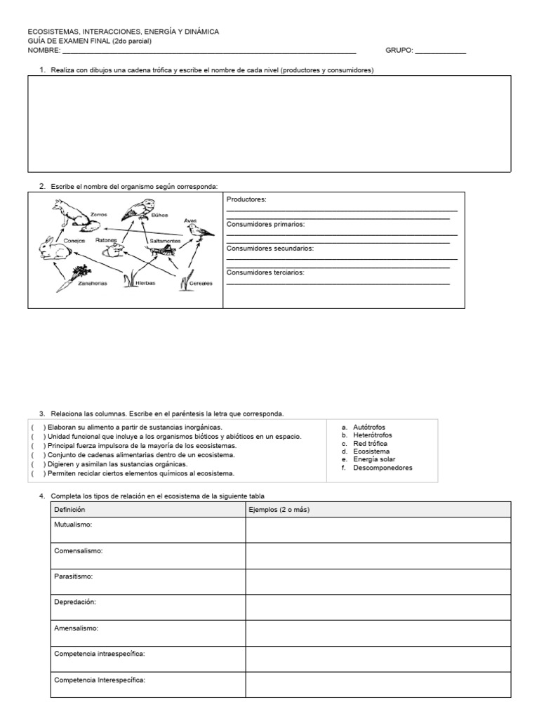 Guía Exa Final 2P Ecosistemas | PDF | Ecosistema | Red alimentaria