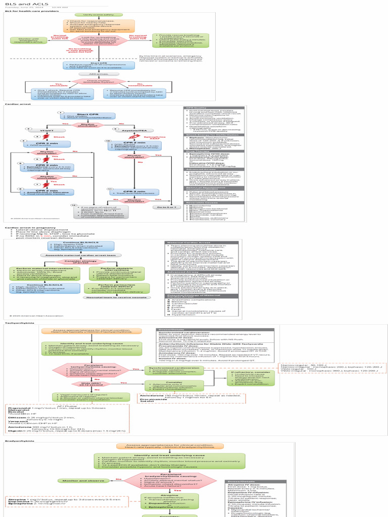 Bls and Acls | PDF