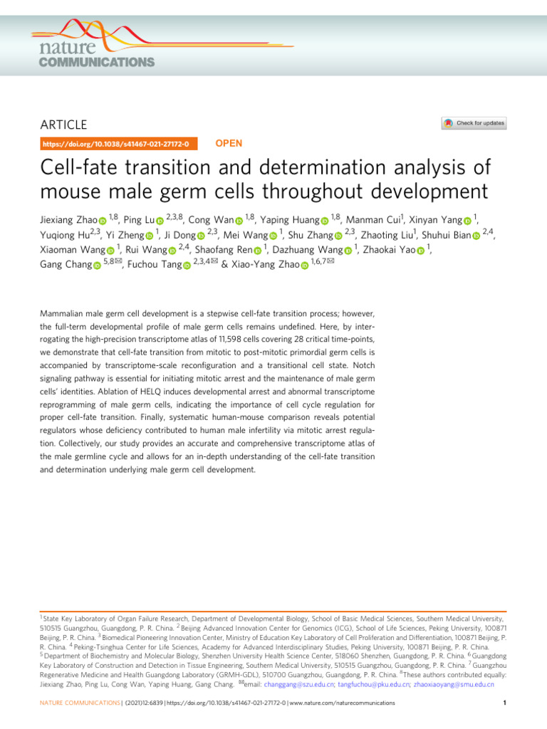 Cell Fate Transition | PDF | Meiosis | Sperm