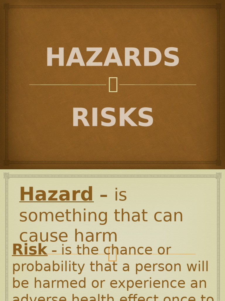 Understanding Workplace Hazards and Risks | PDF