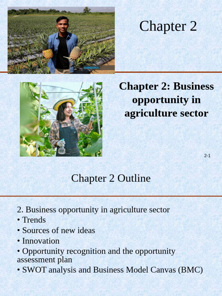 Chapter 2 | PDF | Brainstorming | Libraries