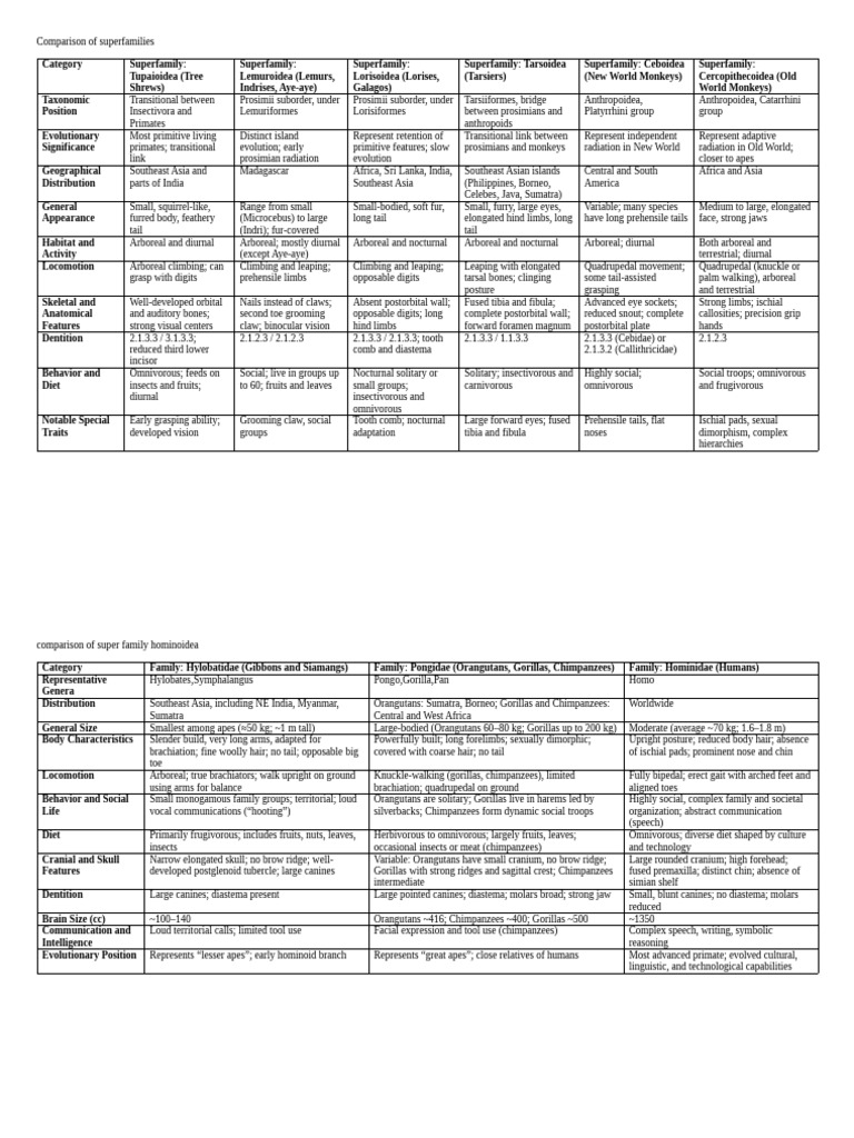 Comparison of Primate Superfamilies | PDF | Ape | Zoology