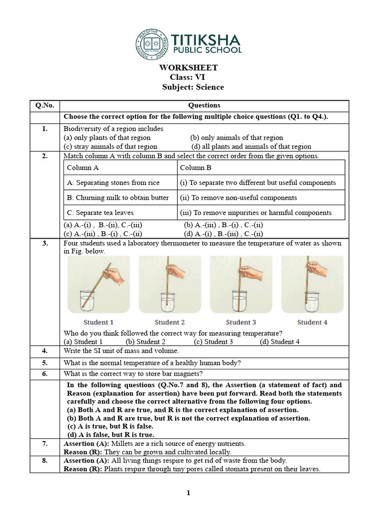 Class VI Science MCQ and Worksheet | PDF | Leaf | Plants