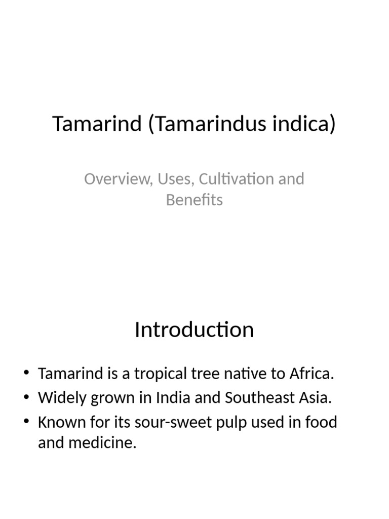 Tamarind Presentation | PDF