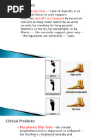 Pes Cavus and Pes Planus Overview | PDF | Foot | Musculoskeletal System