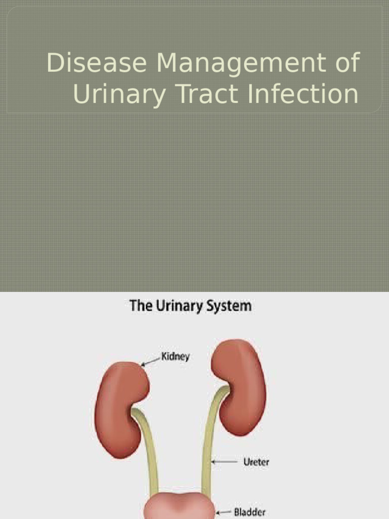Urinary Tract Infection Management Guide | PDF | Urinary Tract ...