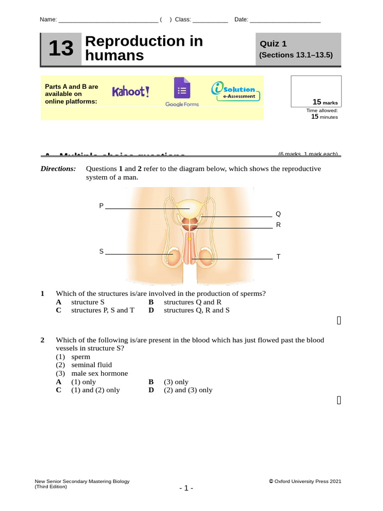 Human Reproduction Quiz 1 Guide | PDF | Reproductive System | Fertilisation