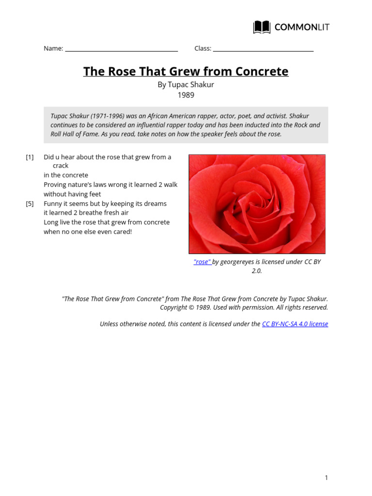 Analysis of "The Rose That Grew from Concrete" | PDF