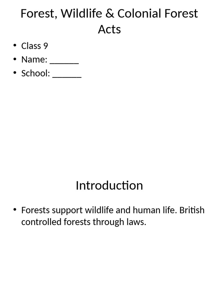 Forest Wildlife Project | PDF