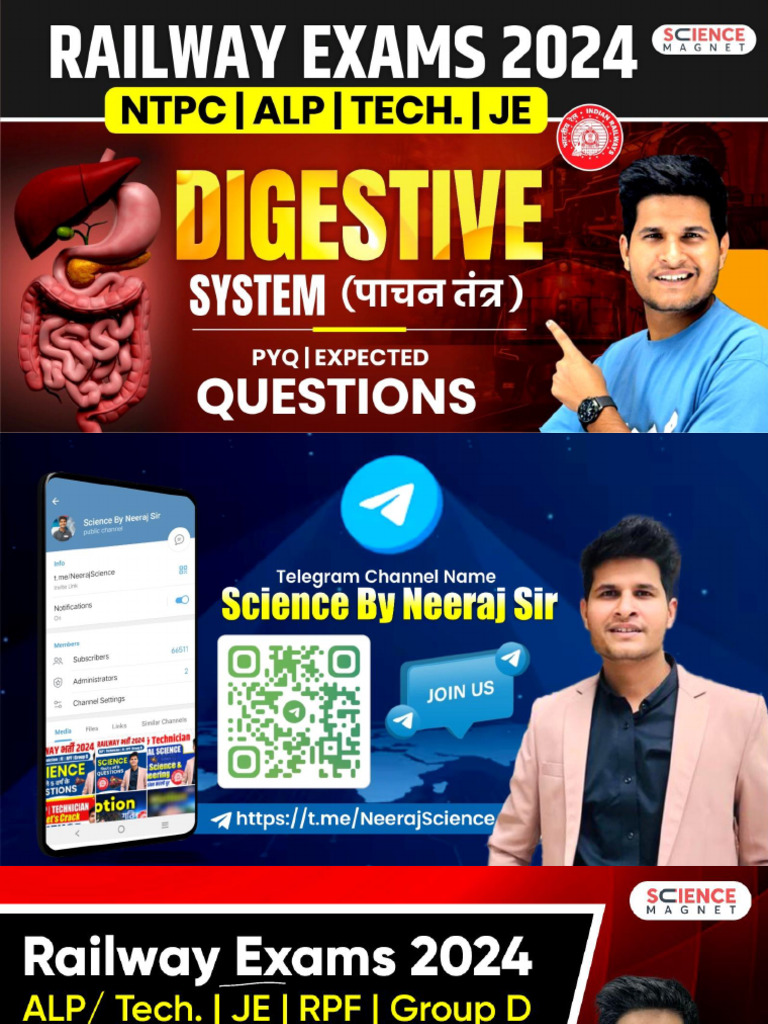 Digestive System PYQ-Exp | PDF