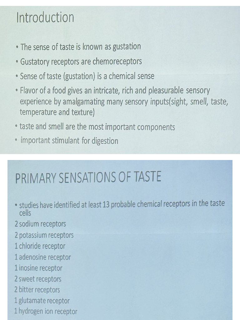 Taste (Gustation) Physio Compressed | PDF