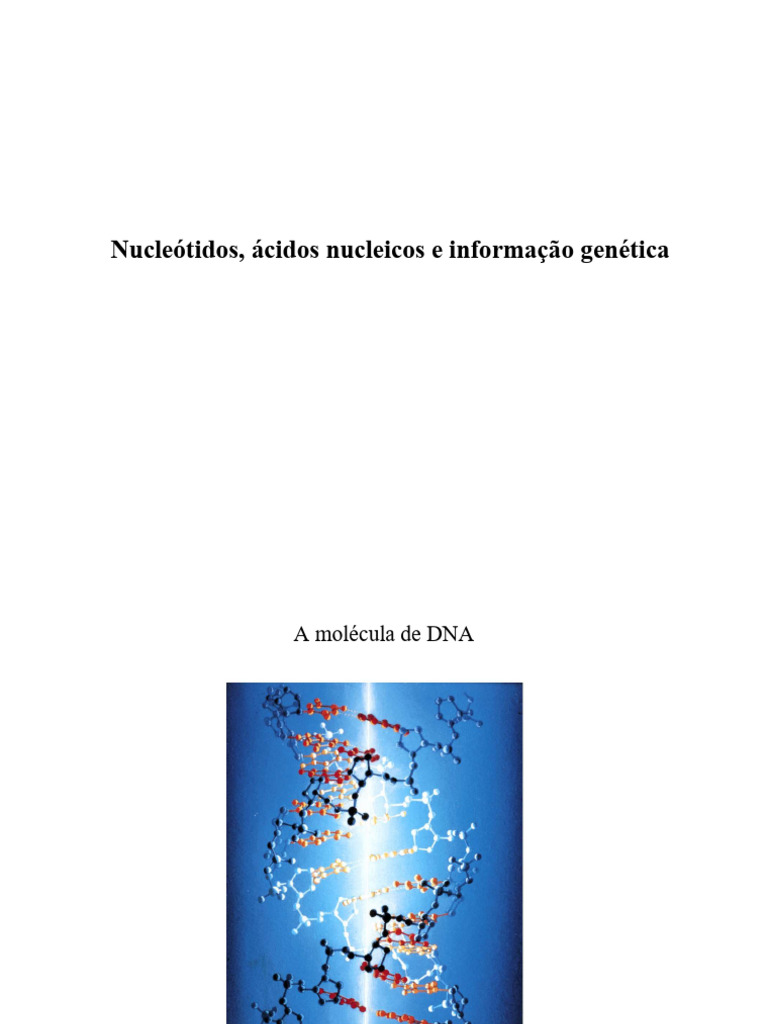 Nucleótidos, Ácidos Nucleicos e Informação genética | PDF | DNA ...