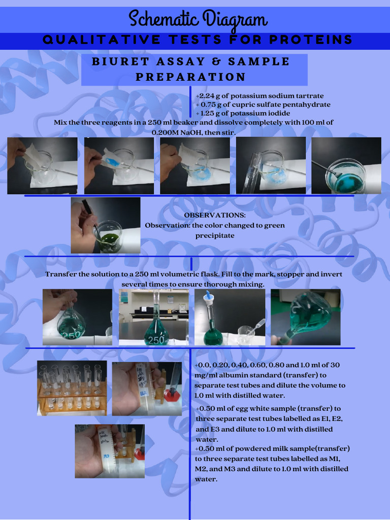 Biuret Test Schematic Diagram 20230923 140106 0000 | PDF | Chemistry ...