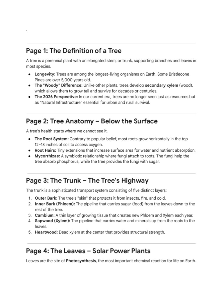 Understanding Trees: Anatomy and Importance | PDF | Trees | Root