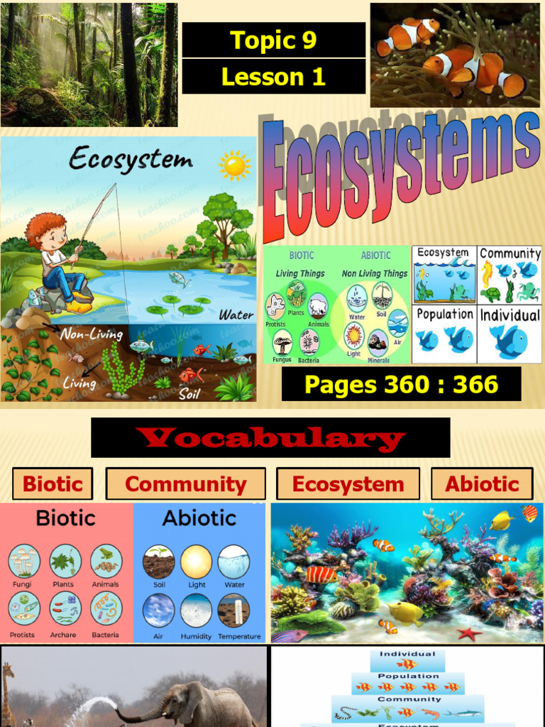 Understanding Ecosystems: Biotic & Abiotic Factors | PDF