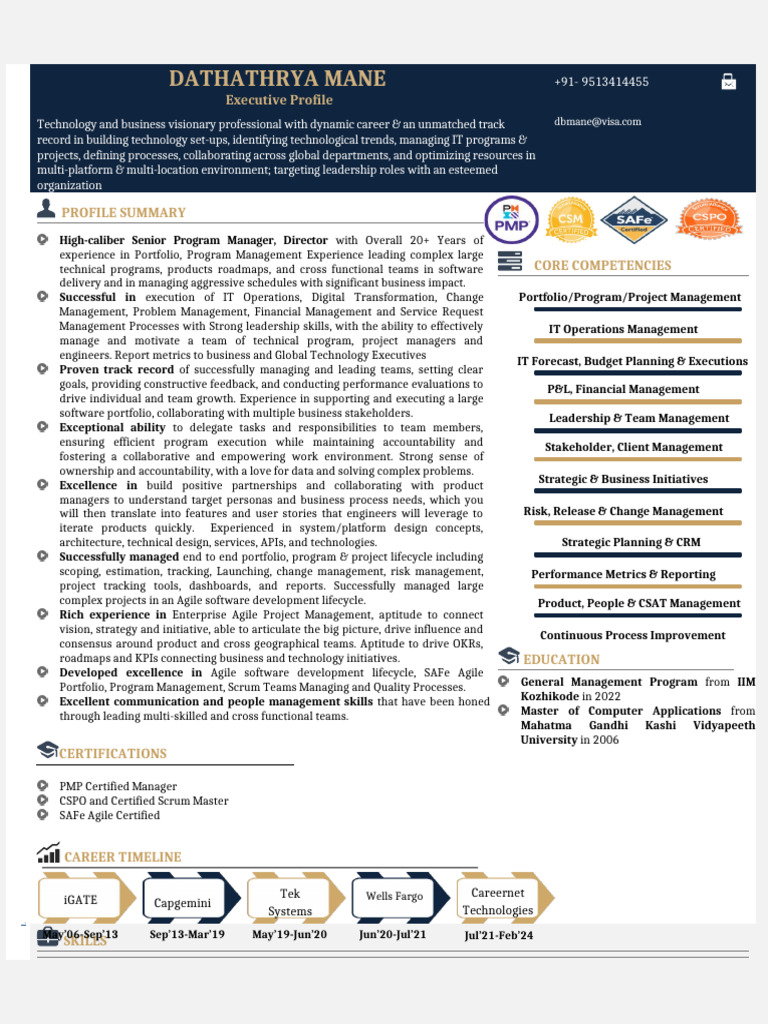 Senior Program Manager Profile Summary | PDF | Project Management ...