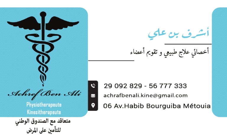 CV Achref Ben Ali | PDF