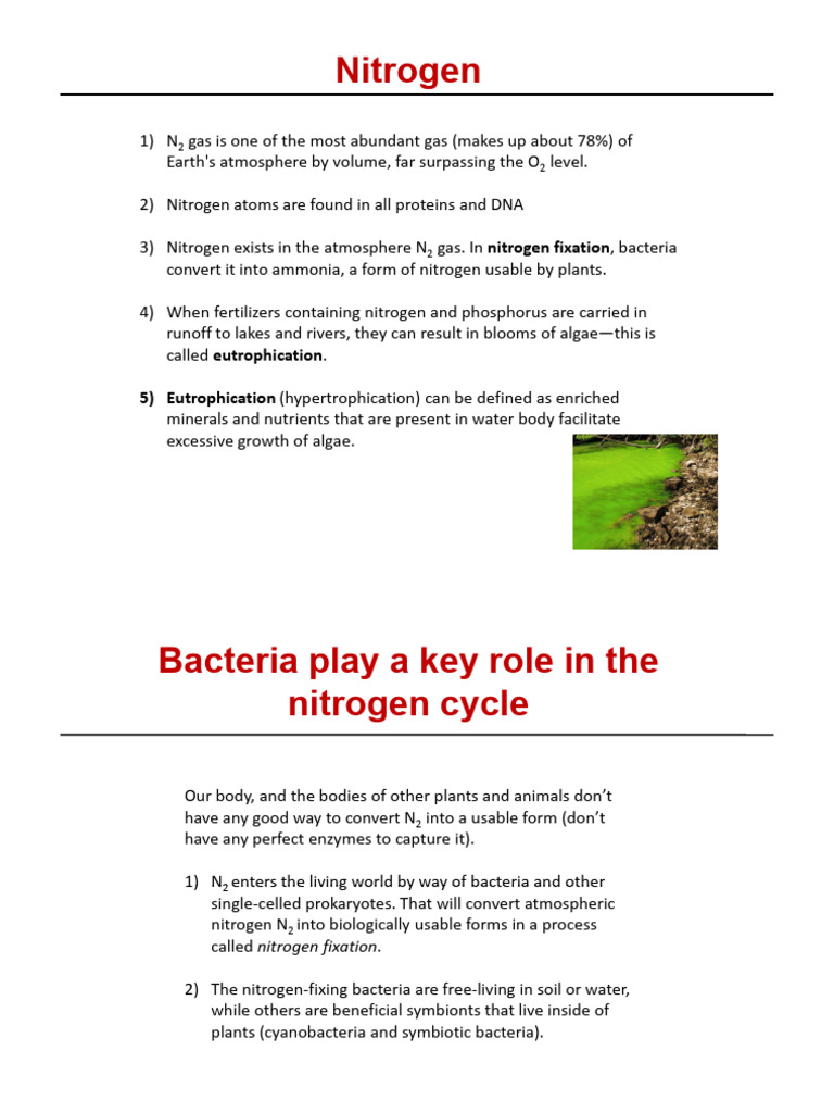 CYN008 Nitrogen Chemistry (1) | PDF | Nitrogen | Nitrate