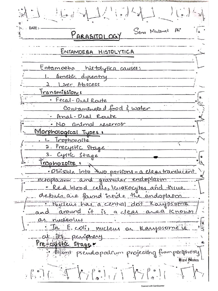 Parasitology Notes | PDF