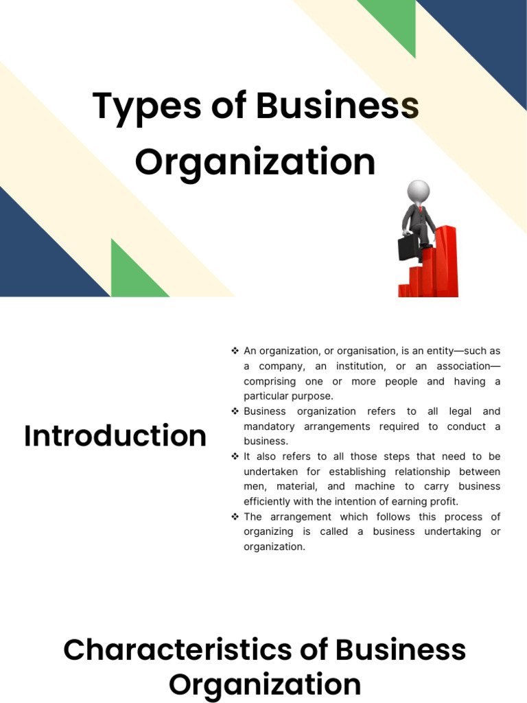 Types of Business Organization | PDF | Partnership | Business
