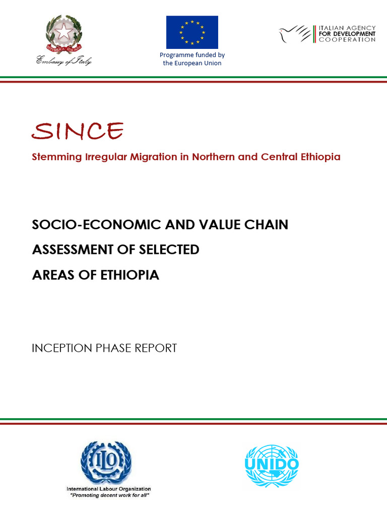 Annex Fi - Inception Phase Report | PDF | Human Migration | Refugee