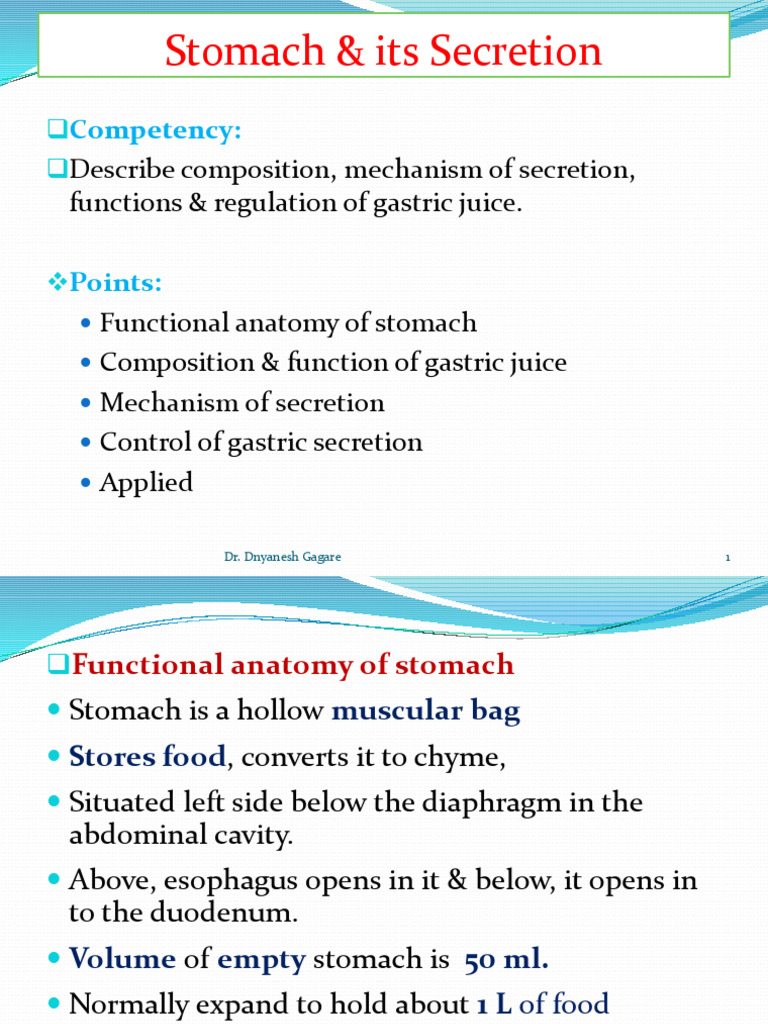 3-GIT Stomach and its secretion Dr Gagare | PDF | Stomach | Anatomy