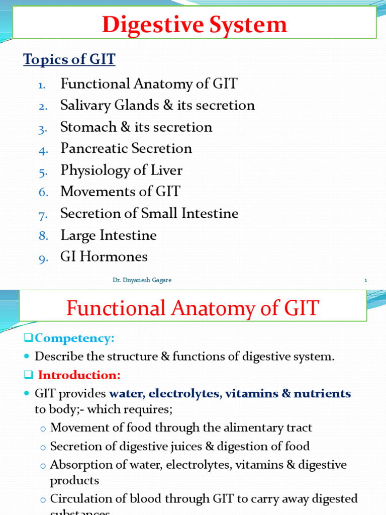 1-GIT Functional Anatomy of GIT- Dr.gagare | PDF | Gastrointestinal ...