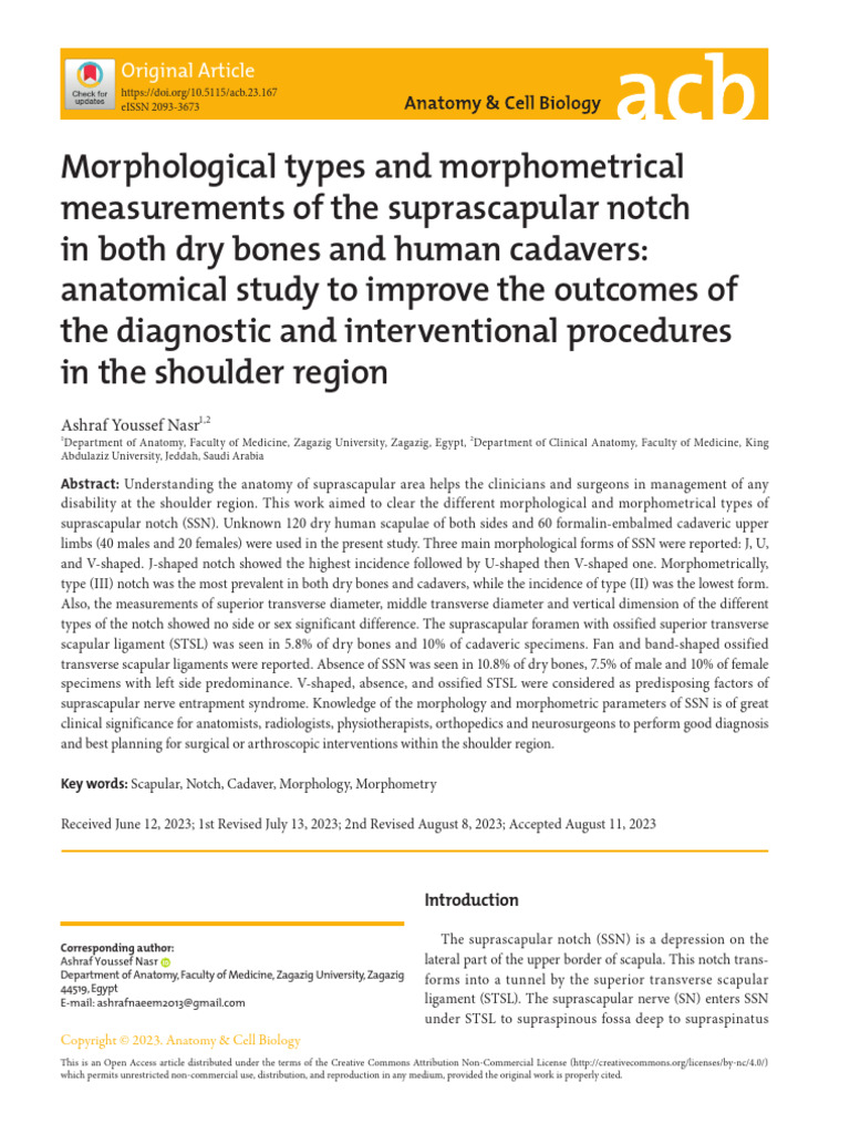 acb-56-4-482 | PDF | Shoulder | Musculoskeletal System