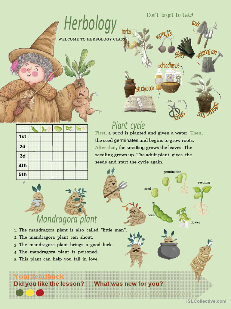 Herbology Class Harry Potter | PDF