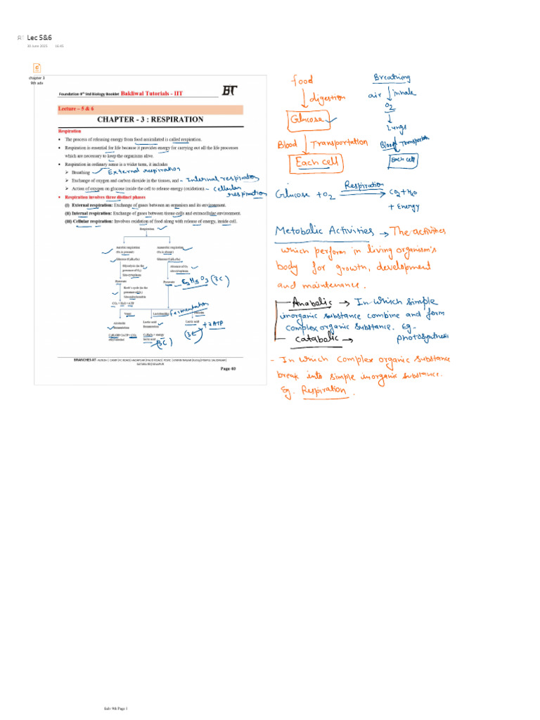 9th Grade Chapter 3 Lecture Notes | PDF