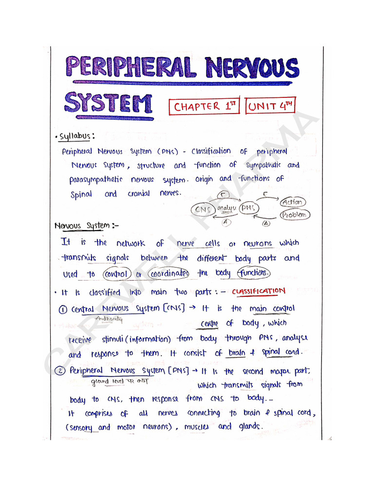 Unit 4, Human Anatomy and Physiology 1, B Pharmacy 1st Sem, Carewell ...