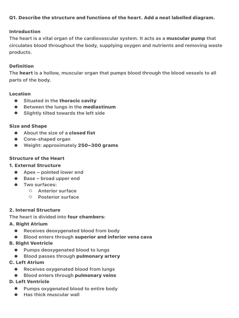 Heart Structure and Functions Explained | PDF | Heart | Heart Valve