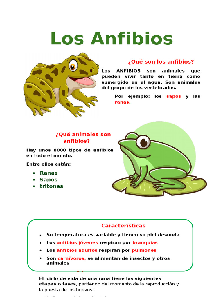 Características y tipos de anfibios | PDF
