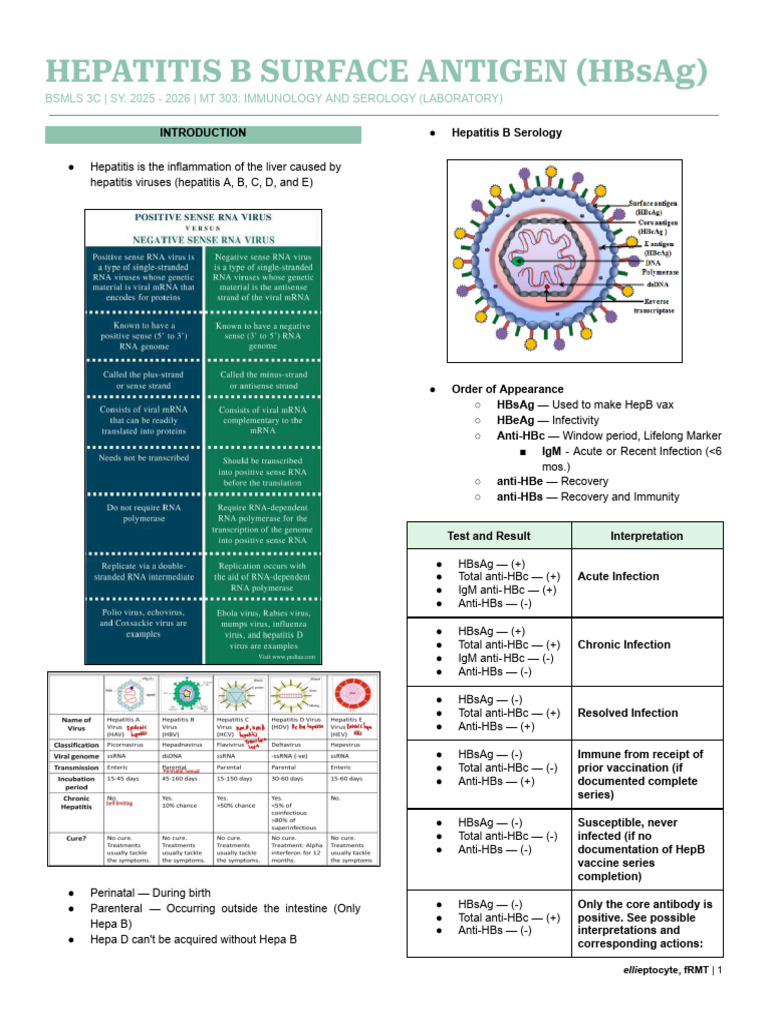 Hepatitis (Lab is) | PDF | Hepatitis B | Hepatitis