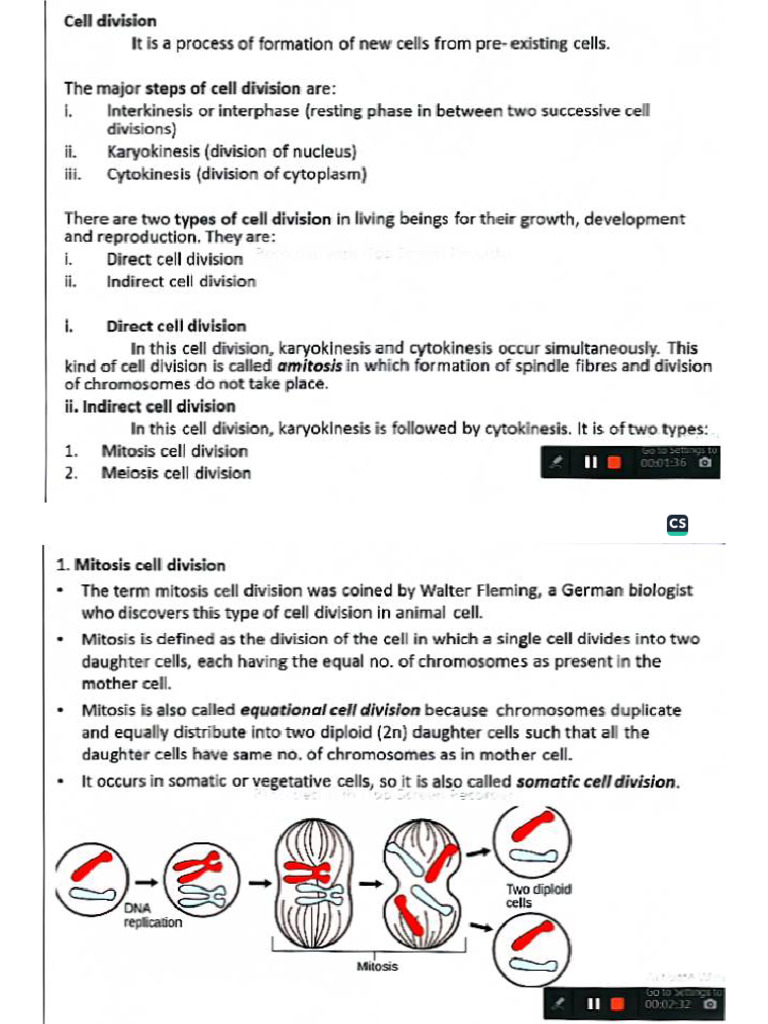 Cell Division | PDF