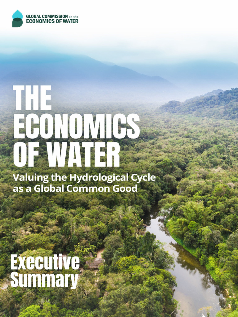 Valuing Water as a Global Common Good | PDF | Agriculture | Water
