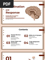 IGCSE Biology: Coordination & Response Notes | PDF