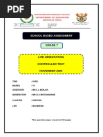 GRADE 5 SOCIAL SCIENCE - HISTORY TERM 1 TASK | PDF | Rock Art | Paintings