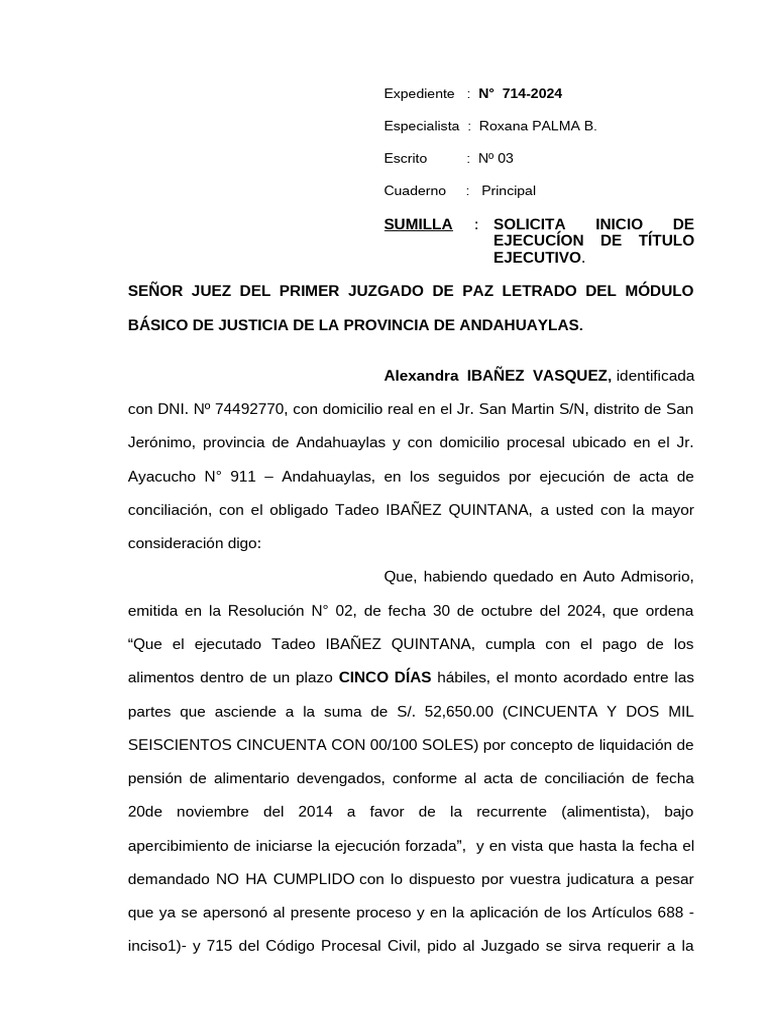 Solicita Se Inicie Ejecucion Forzada Alexandra Ibañez | PDF