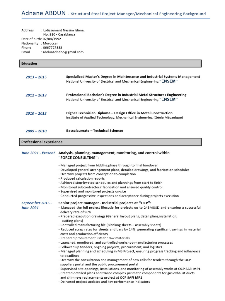 Structural Steel Project Manager Profile | PDF | Engineering