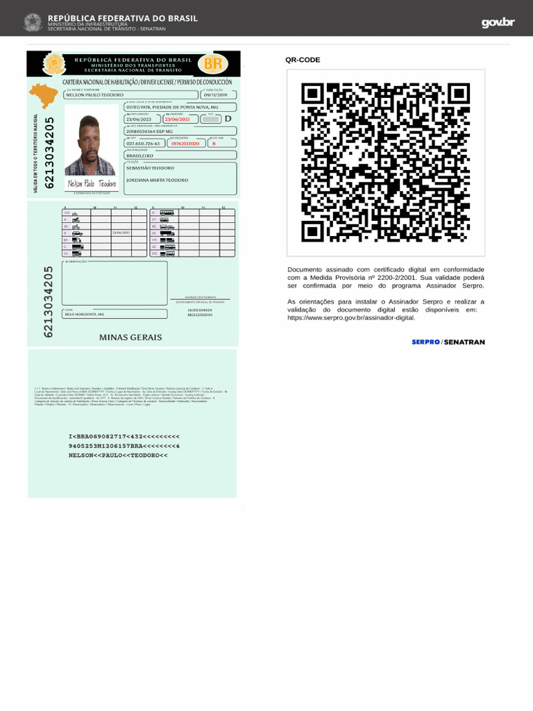 Nelson | PDF